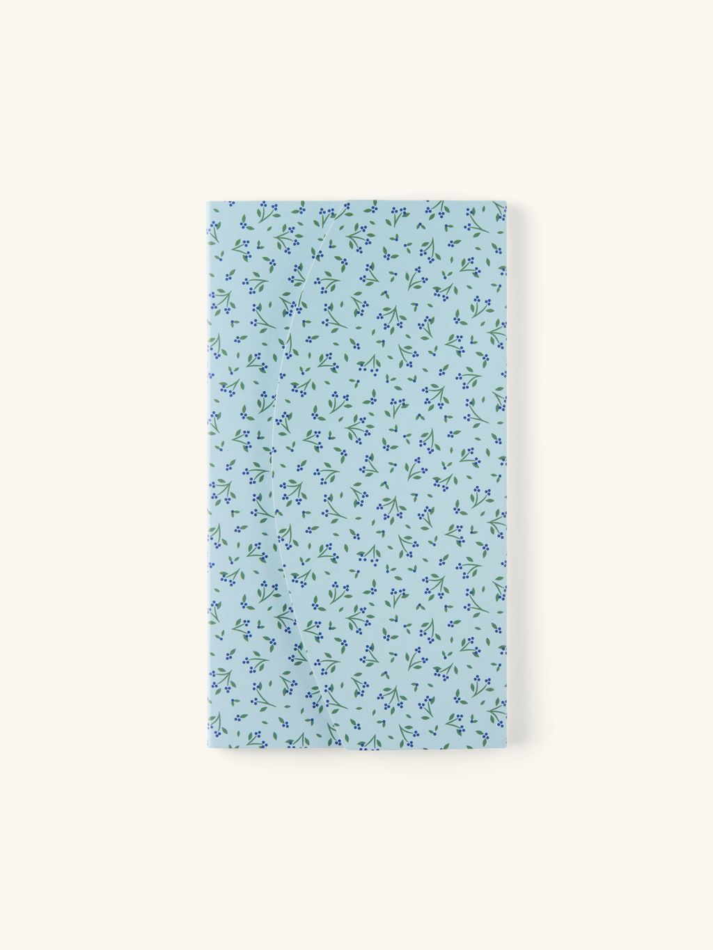 Notesæt | Papir. | Sky Blue, Light Green