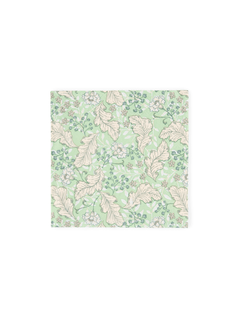 Napkins | 33 x 33 cm. 20 pcs. | Spring Green, Off White